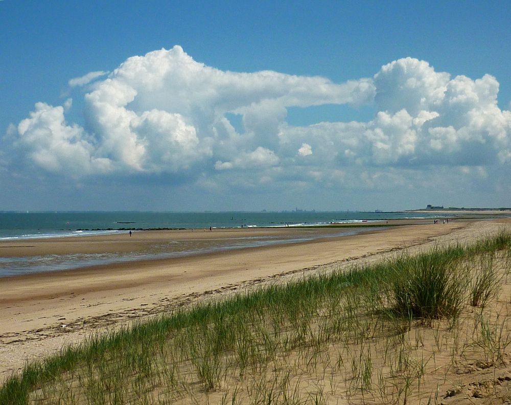 Strand Holland Foto & Bild | landschaft, meer & strand, natur Bilder ...