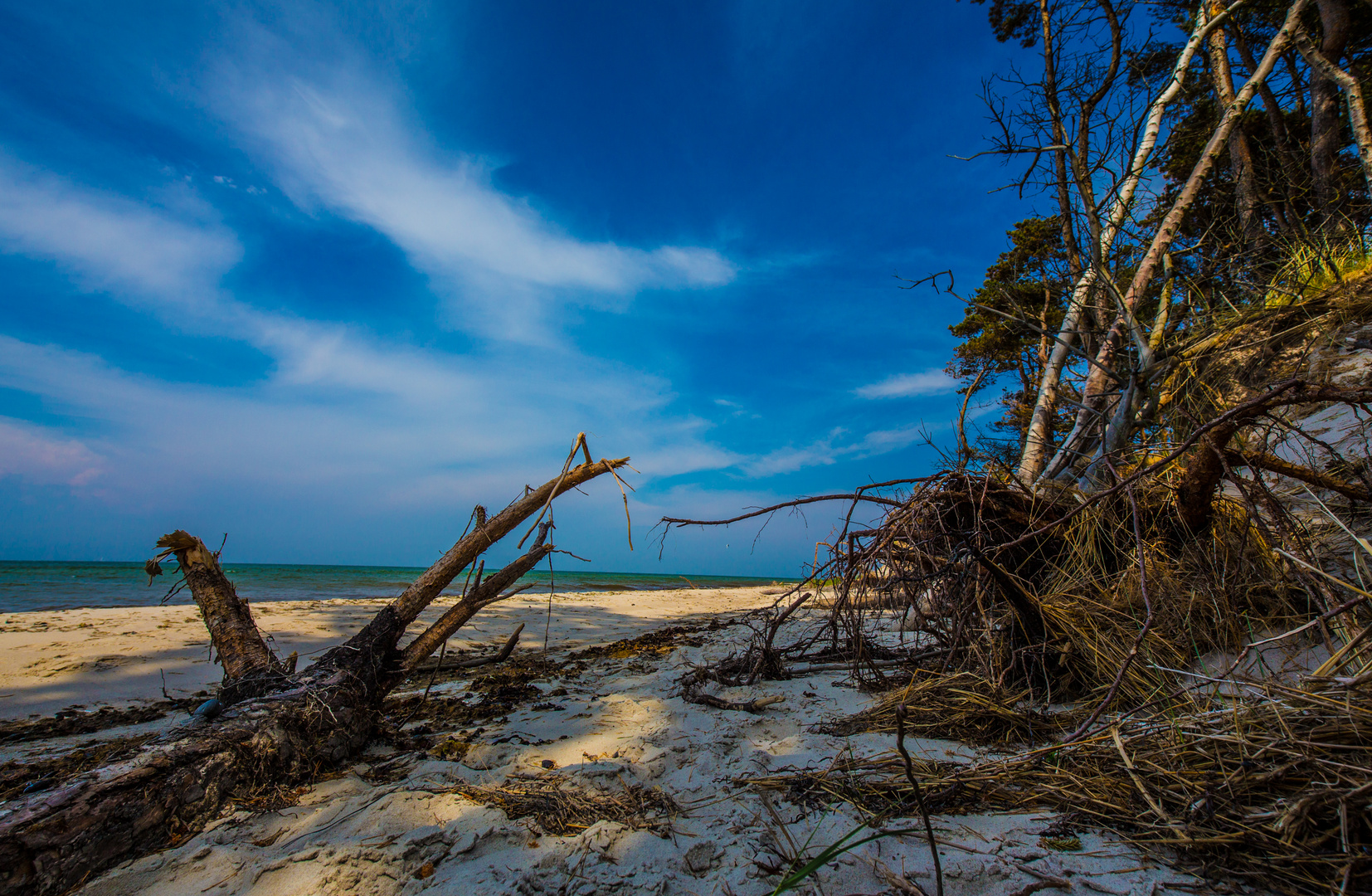 Strand Zingst 2016 Foto & Bild | natur, stillleben, landschaft Bilder ...
