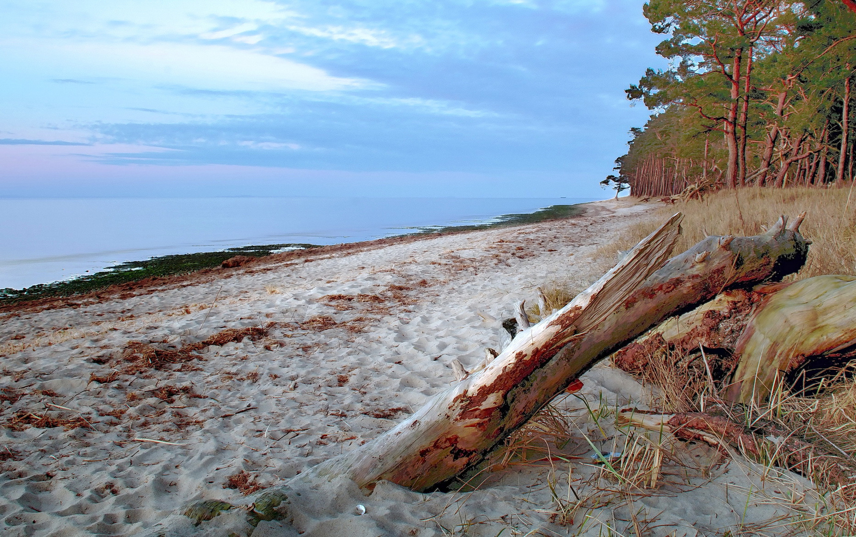 Strandabschnitt am Bodden Foto & Bild | landschaft, meer & strand, haff ...