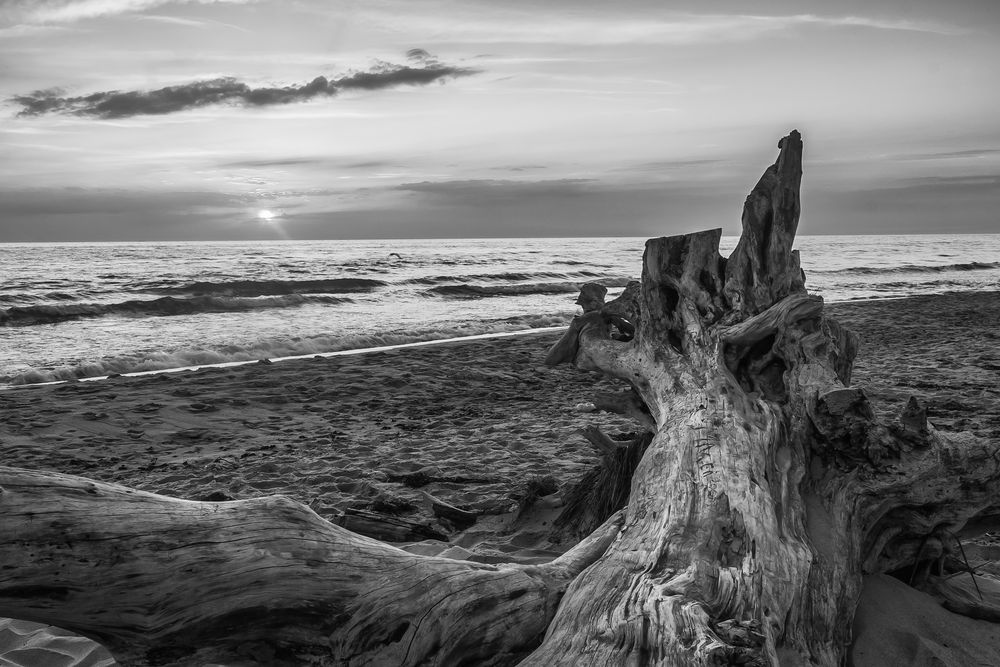Strandgut Foto & Bild | landschaft, meer & strand, fotokunst Bilder auf fotocommunity
