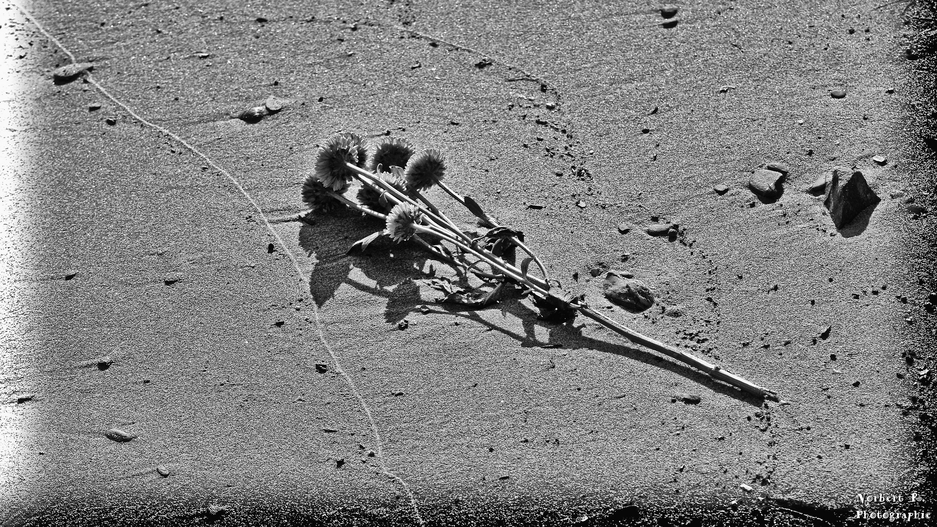 Strandgut Foto & Bild | bearbeitungs - techniken, filtertechniken, kunst architektur Bilder auf ...