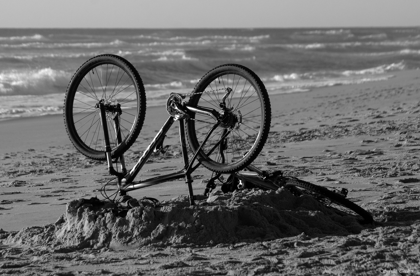 Strandgut Foto & Bild | france, world, spezial Bilder auf fotocommunity