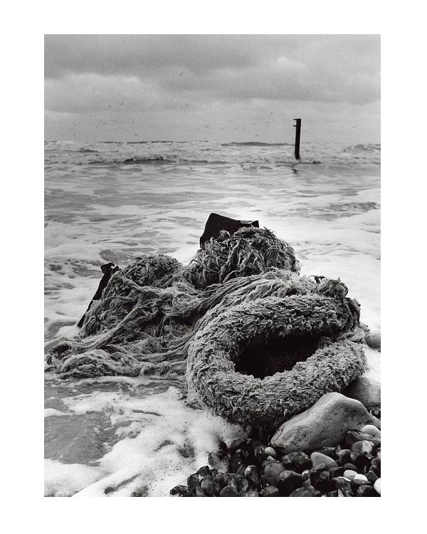 Strandgut Foto & Bild | fotokunst, monochrome fine art, spezial Bilder auf fotocommunity