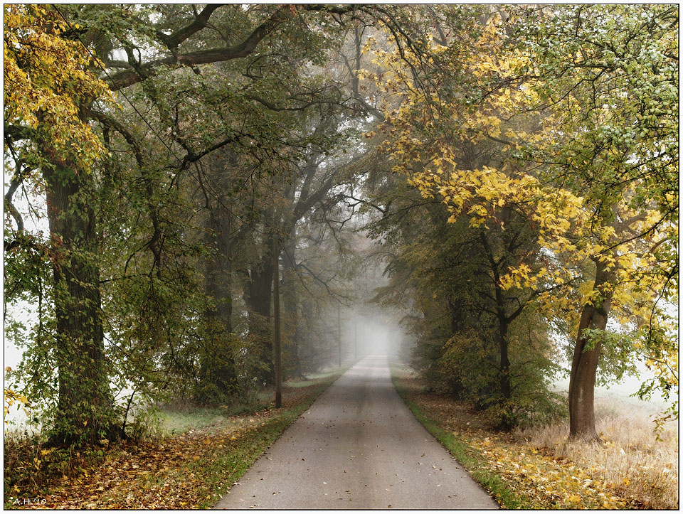 "Straße ins Nichts" Foto & Bild | jahreszeiten, herbst, landschaft ...