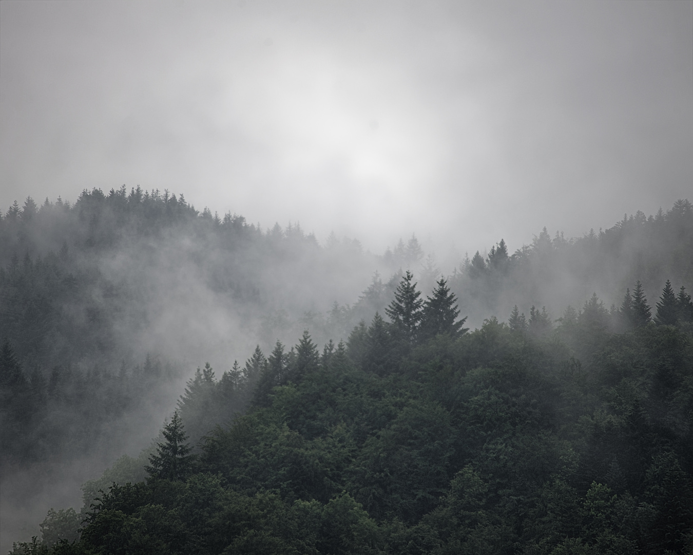 Stratus fractus silvagenitus .... Foto & Bild | Bilder auf fotocommunity