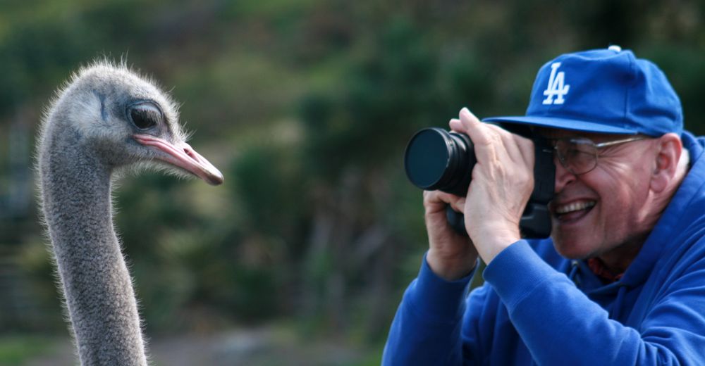 strausse können manchmal etwas gefährlich sein Foto & Bild | world ...