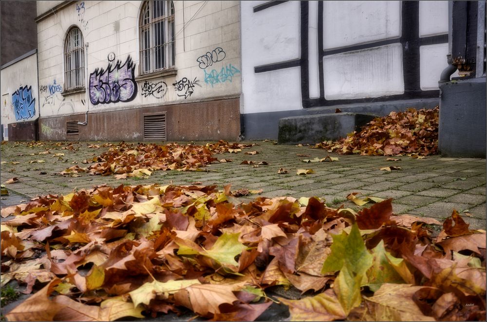 Street im November Foto & Bild | street, world, herbst Bilder auf fotocommunity