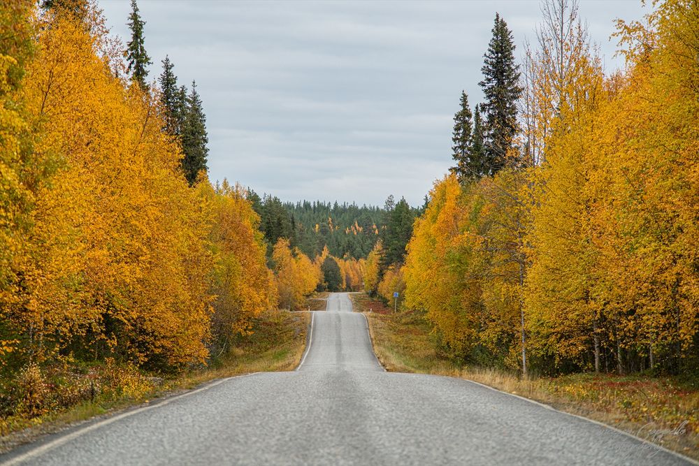 Streets of Lappland Foto & Bild | europe, scandinavia, landschaft ...