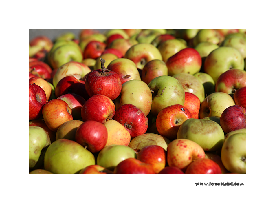 Streu Obst Ernte Foto & Bild | rot, apfel, äpfel Bilder auf fotocommunity