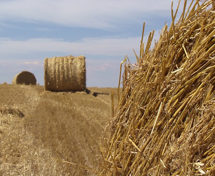 Stroh Foto & Bild | landschaft, natur Bilder auf fotocommunity