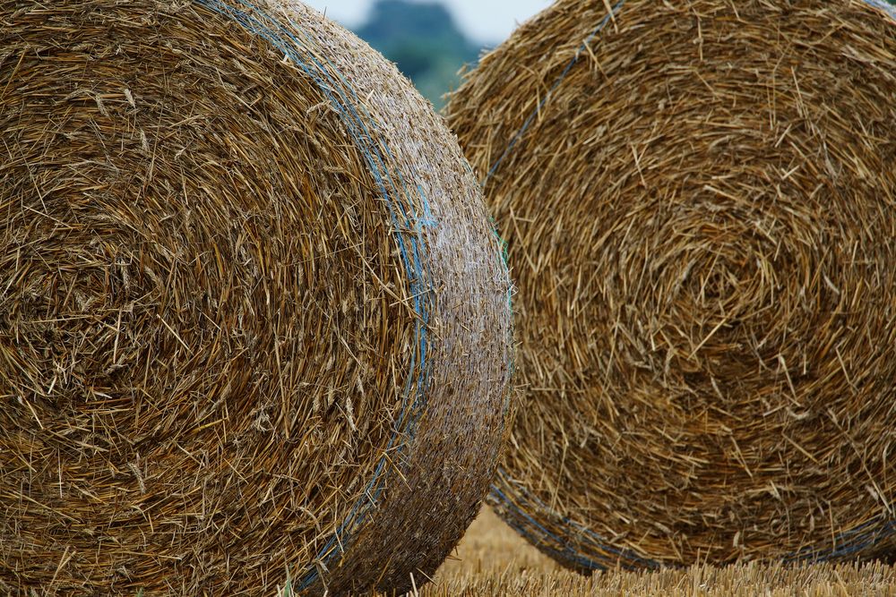 Stroh----- Foto & Bild | fotos, sommer, natur Bilder auf fotocommunity