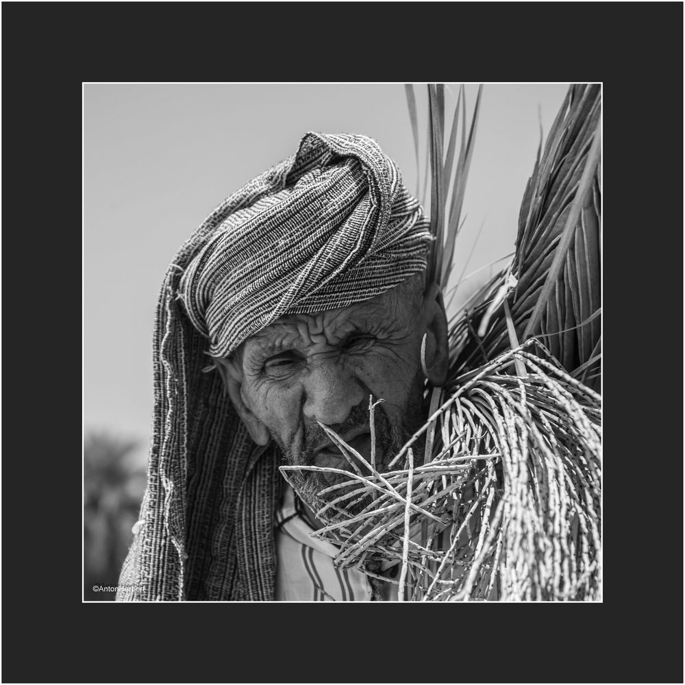 Strohmann Foto & Bild | meine fotohome-page Bilder auf fotocommunity