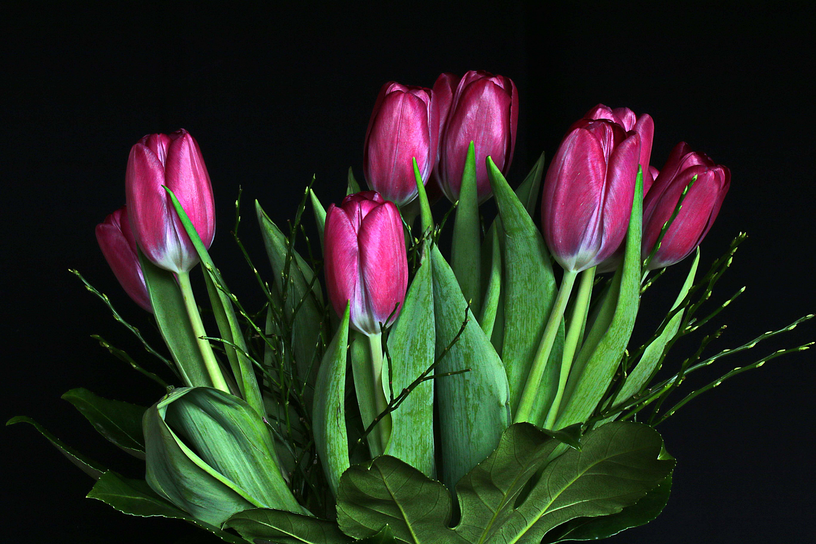 Strüßjer (Sträußchen) Foto & Bild | tulpen, natur, blumen Bilder auf fotocommunity