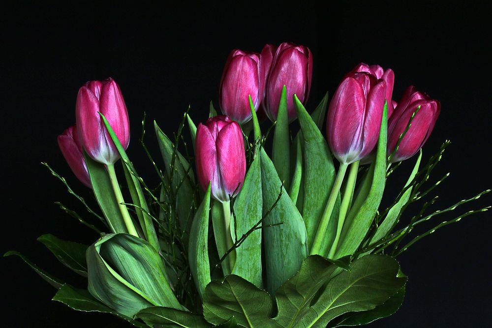 Strüßjer (Sträußchen) Foto & Bild | tulpen, natur, blumen Bilder auf fotocommunity