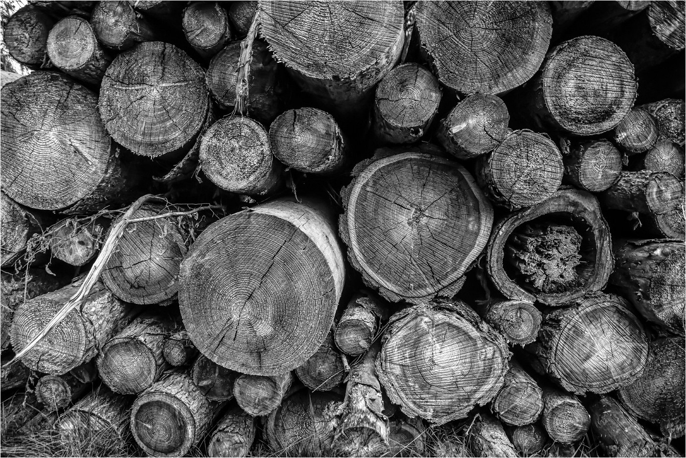 Strukturen Foto & Bild | world, wald, bäume Bilder auf fotocommunity Strukturen Foto & Bild | world, wald, bäume Bilder auf fotocommunity