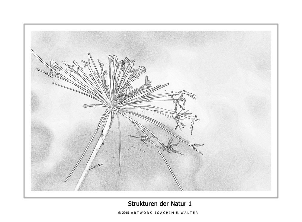 Strukturen der Natur 1 Foto & Bild | bearbeitungs - techniken, filtertechniken, artwork Bilder ...