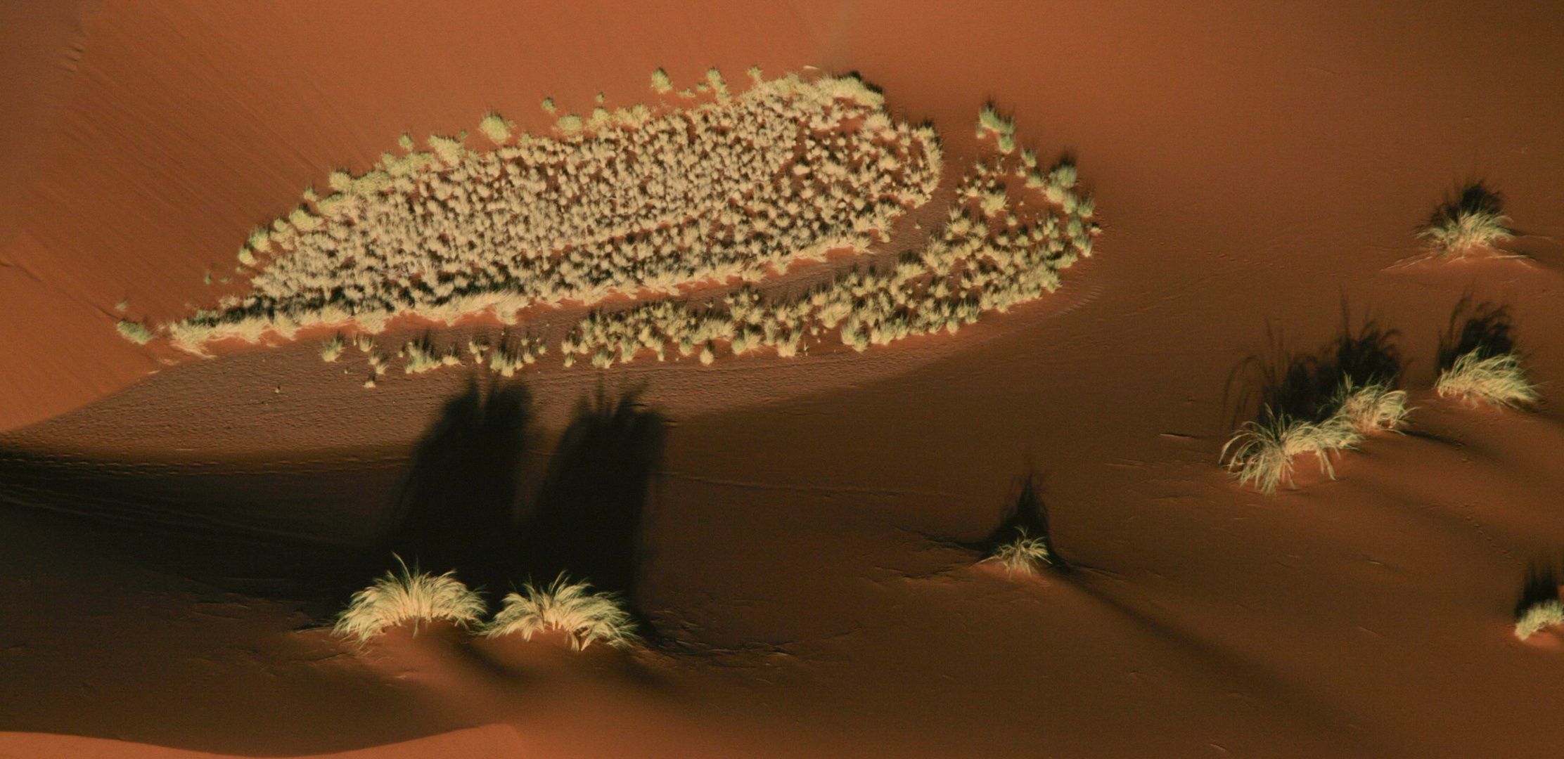 Strukturen in der Wüste Foto & Bild | abstrakt, landschaft, namibia ...