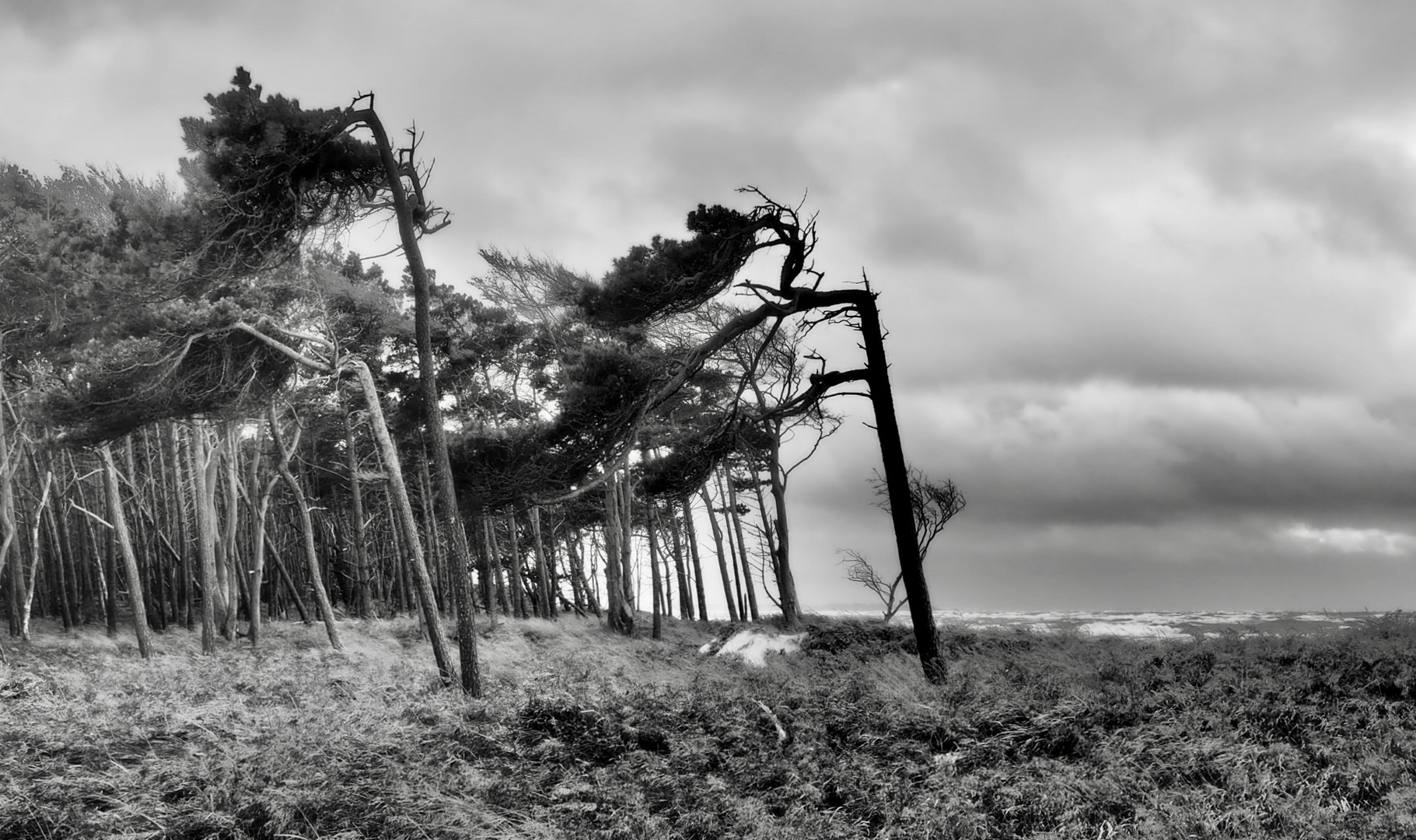 Sturm und Regen am Strand Foto & Bild | meer, regen, natur Bilder auf ... Sturm und Regen am Strand Foto & Bild | meer, regen, natur Bilder auf ...