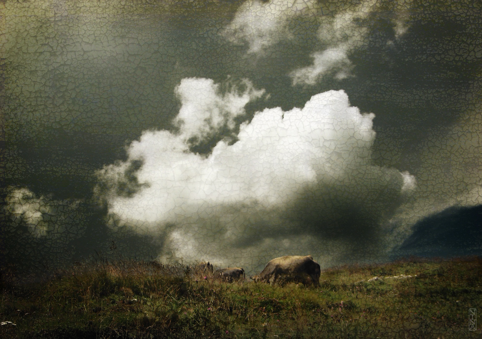 sturmhöhe #3 Foto & Bild | fotomontage, composing , landschaft Bilder auf fotocommunity