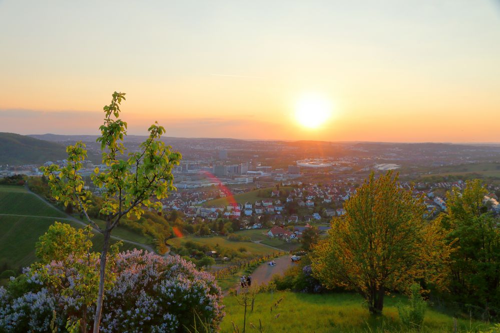 Stuttgart Blick vom Rotenberg Foto & Bild | world, stuttgart, rotenberg ...