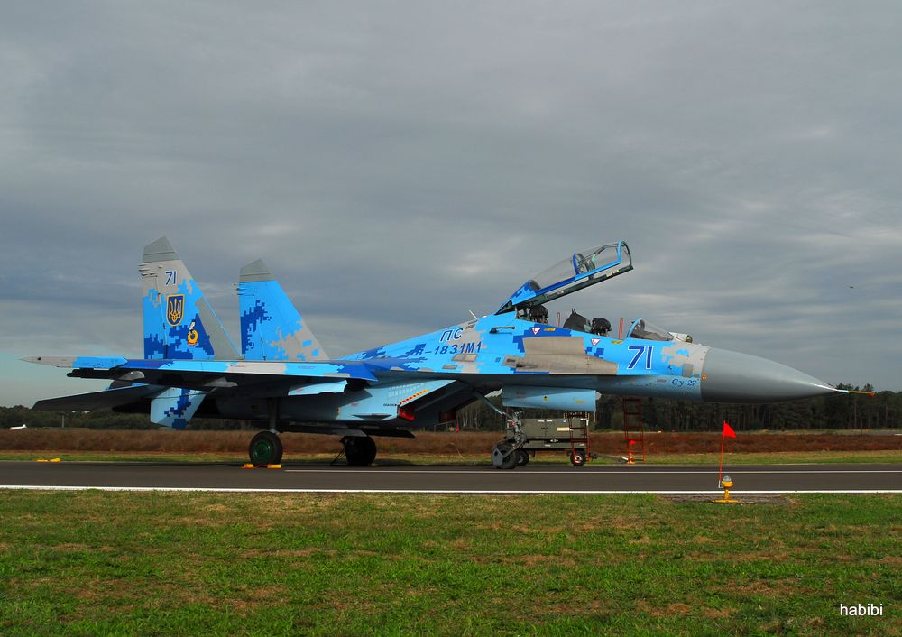 SU-27 UBM Flanker C / Reg.71 Foto & Bild | luftfahrt, militärfliegerei ...