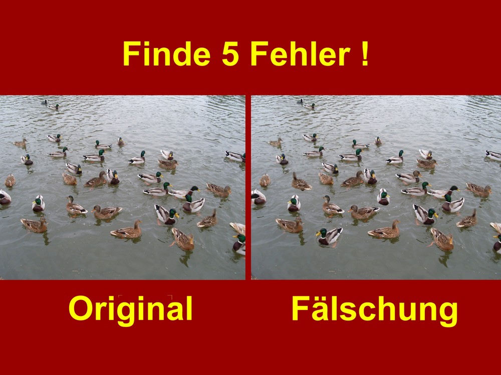 Suchbild Foto & Bild | quatsch, fun und rätselecke, rätselecke, im bild ...