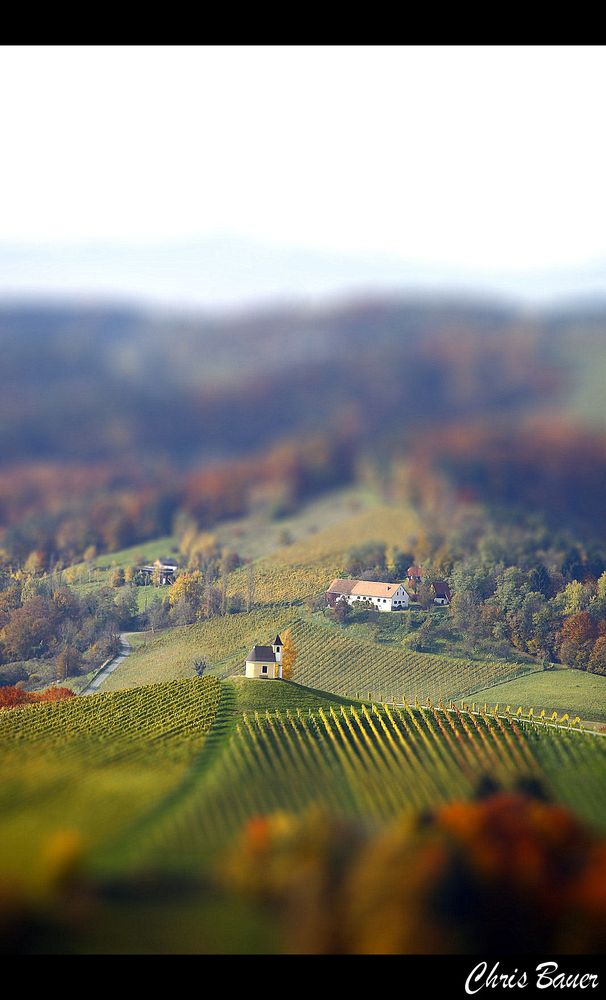 Süd Steiermark bei Gamlitz Foto & Bild | europe, Österreich, steiermark ...