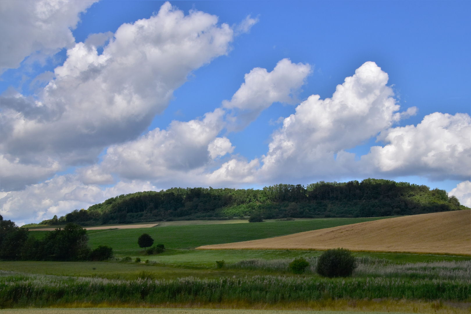 Südhessen Odenwald Foto & Bild | landschaft, jahreszeiten, sommer ...