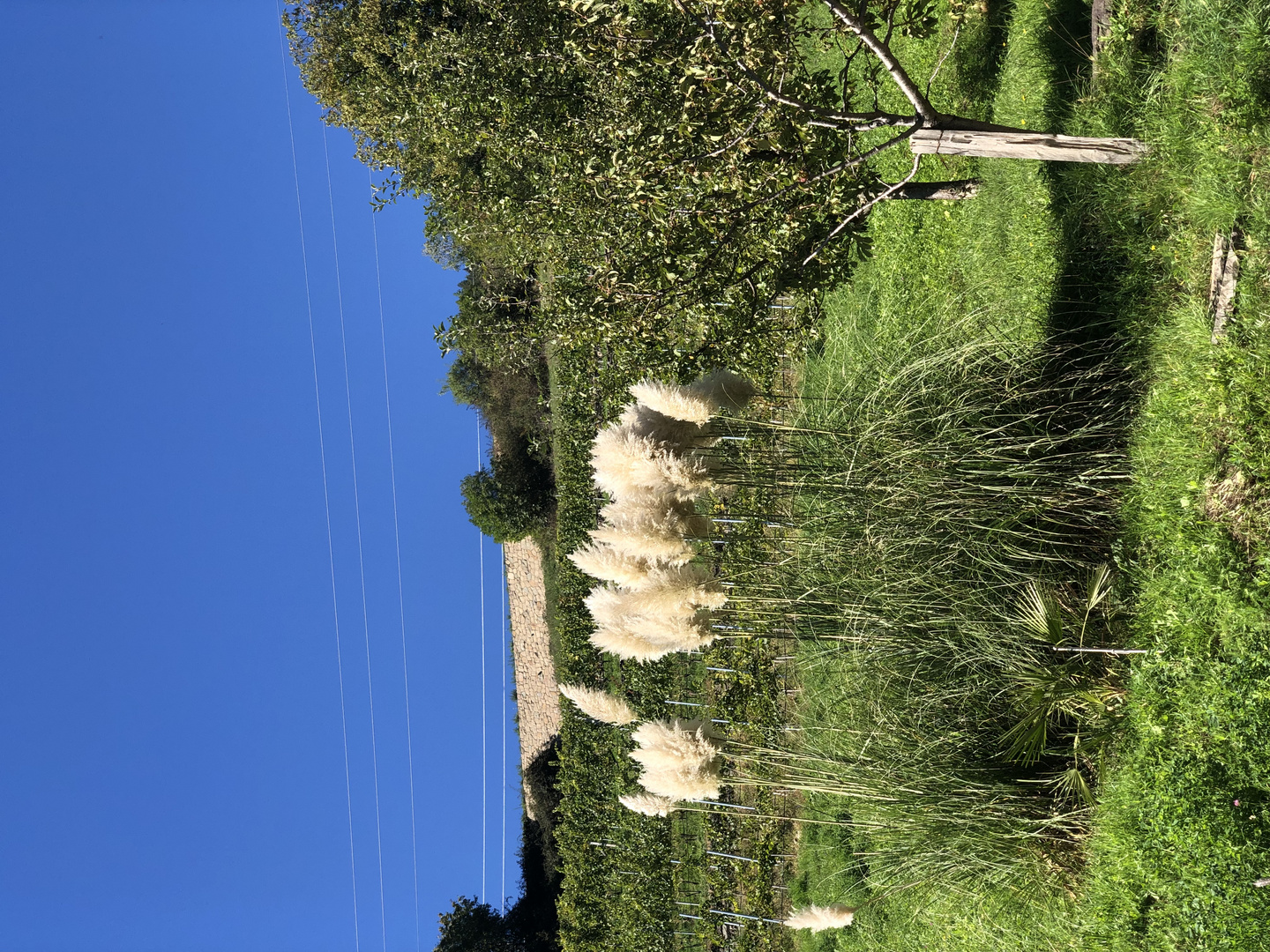 Südtirol / Barbian Foto & Bild | natur, landschaft, pflanzen Bilder auf ...