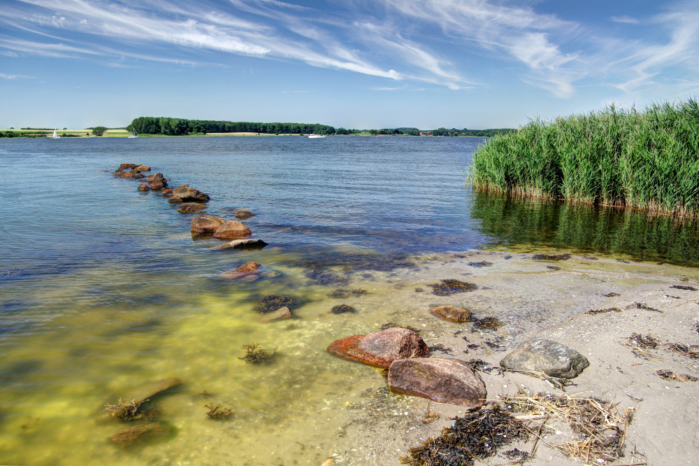 Südufer der Schlei Foto & Bild | deutschland, europe, schleswig ...