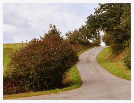 Paysages de campagne Images & Photos