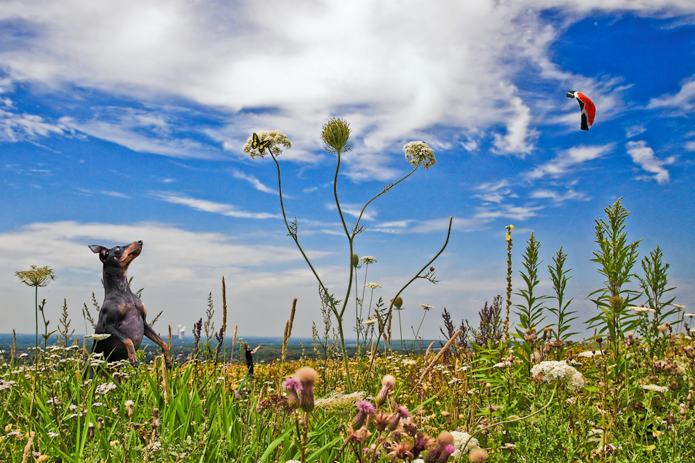 Summertime Foto & Bild | fotomontage, composing , digiart Bilder auf fotocommunity