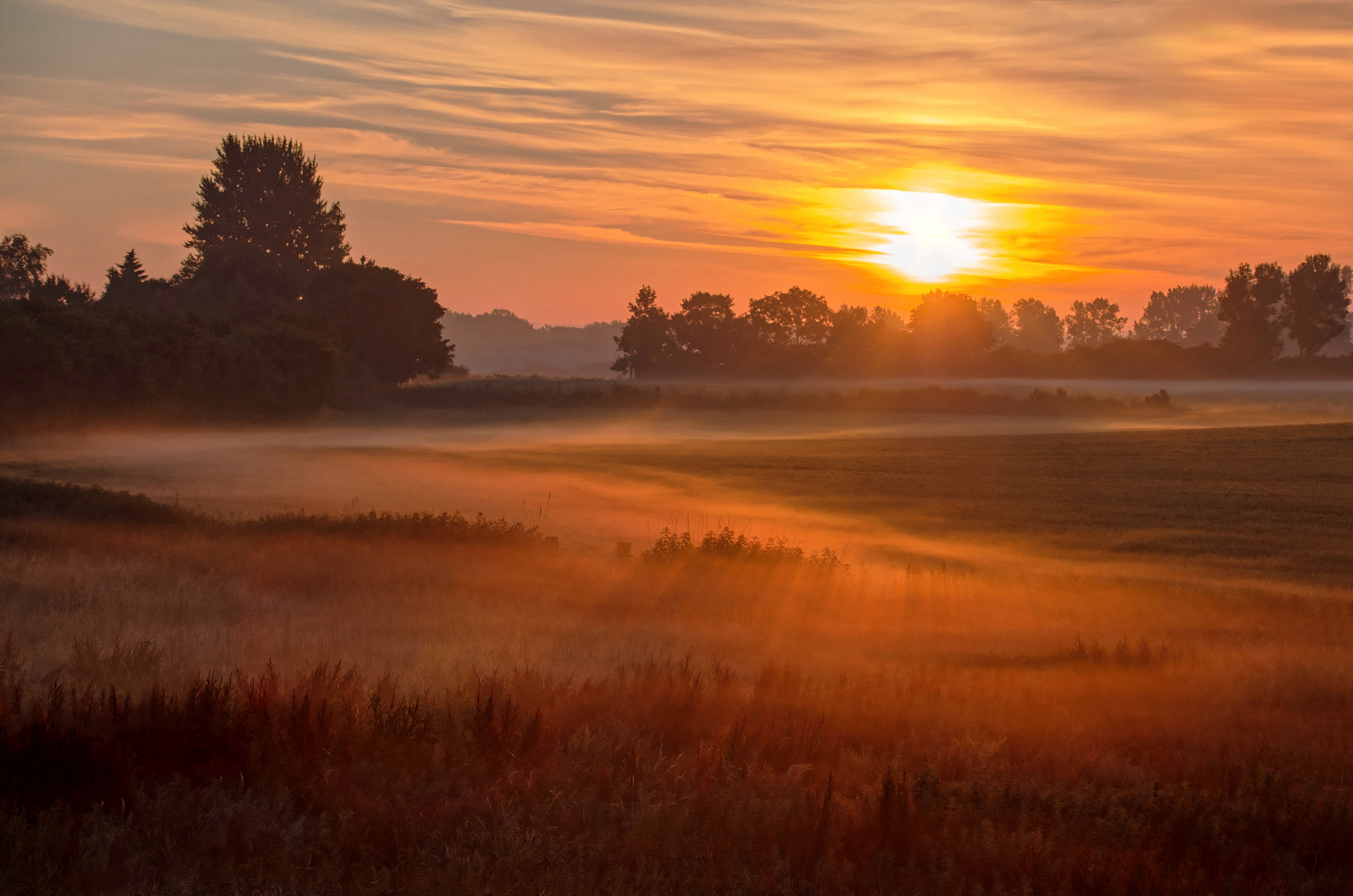Summertime Foto & Bild | sommer, sonne, sonnenaufgang Bilder auf ...