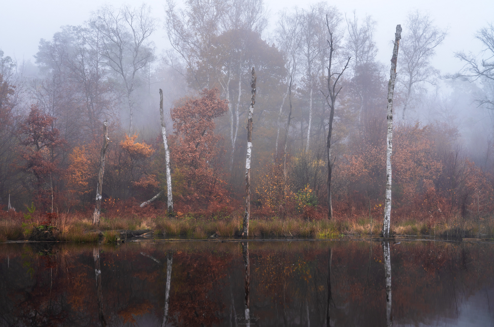 Sumpf-Land Foto & Bild | jahreszeiten, herbst, fotos Bilder auf ...