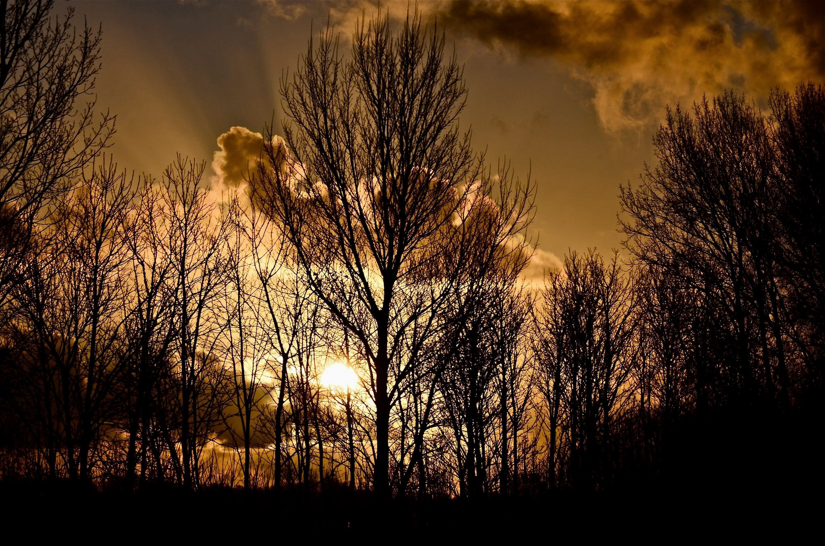 Sundowner Foto & Bild | jahreszeiten, herbst, natur Bilder auf ...