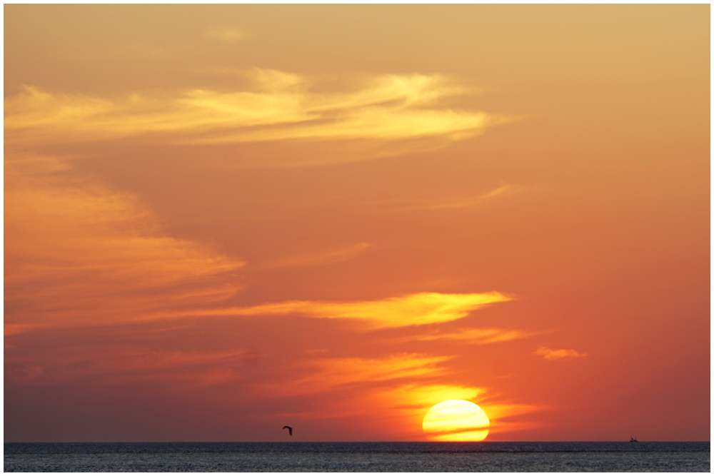 Sundowner Foto & Bild | fotokunst, color fine art, ostfriesland Bilder ...