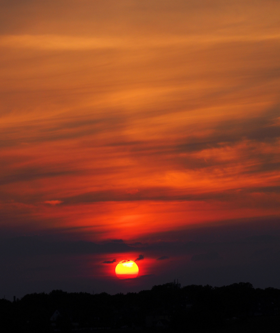 Sundowner… Foto & Bild | sonnenuntergang, sonne, abend Bilder auf ...