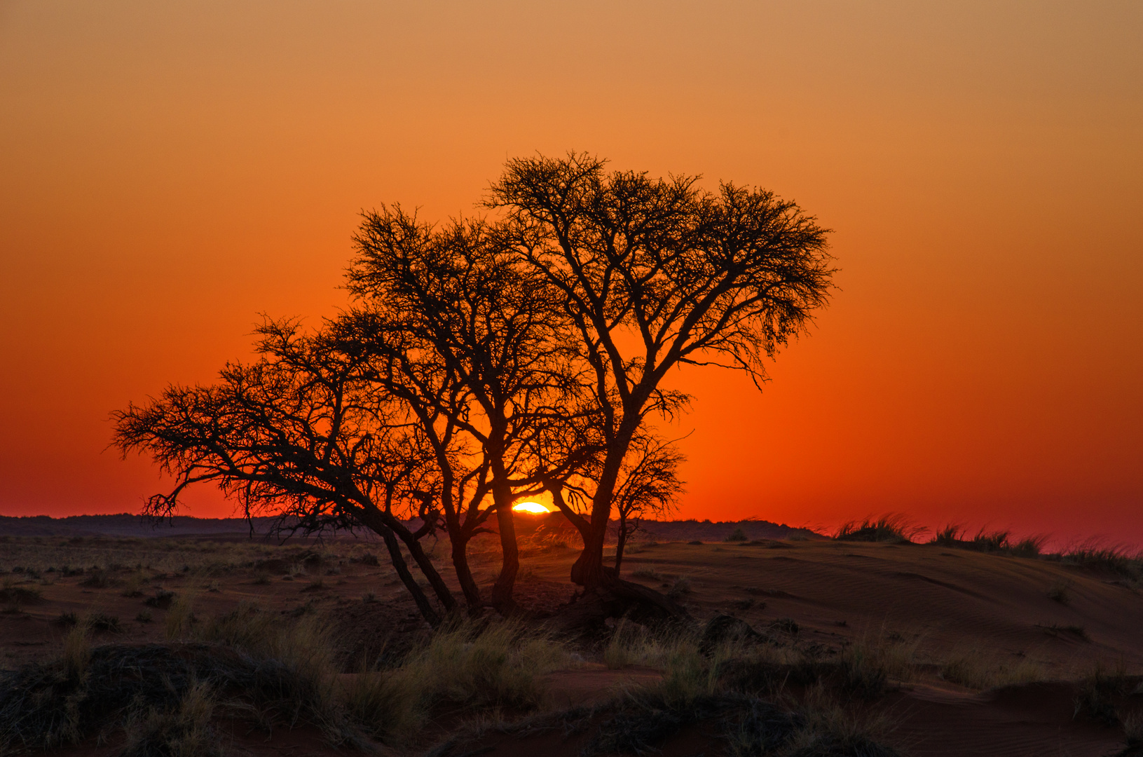 Sundowner Kalahari Namibia Foto & Bild | landschaft, fotos ...