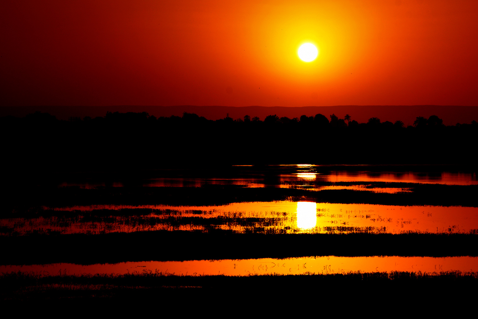 Sunset am Nil Foto & Bild | sunset, world, spezial Bilder auf fotocommunity