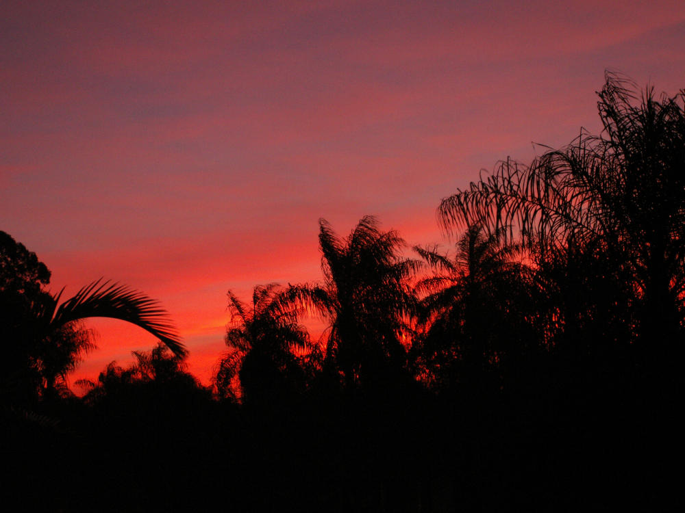 Sunset in den Subtropen Foto & Bild | sonnenuntergänge, himmel ...