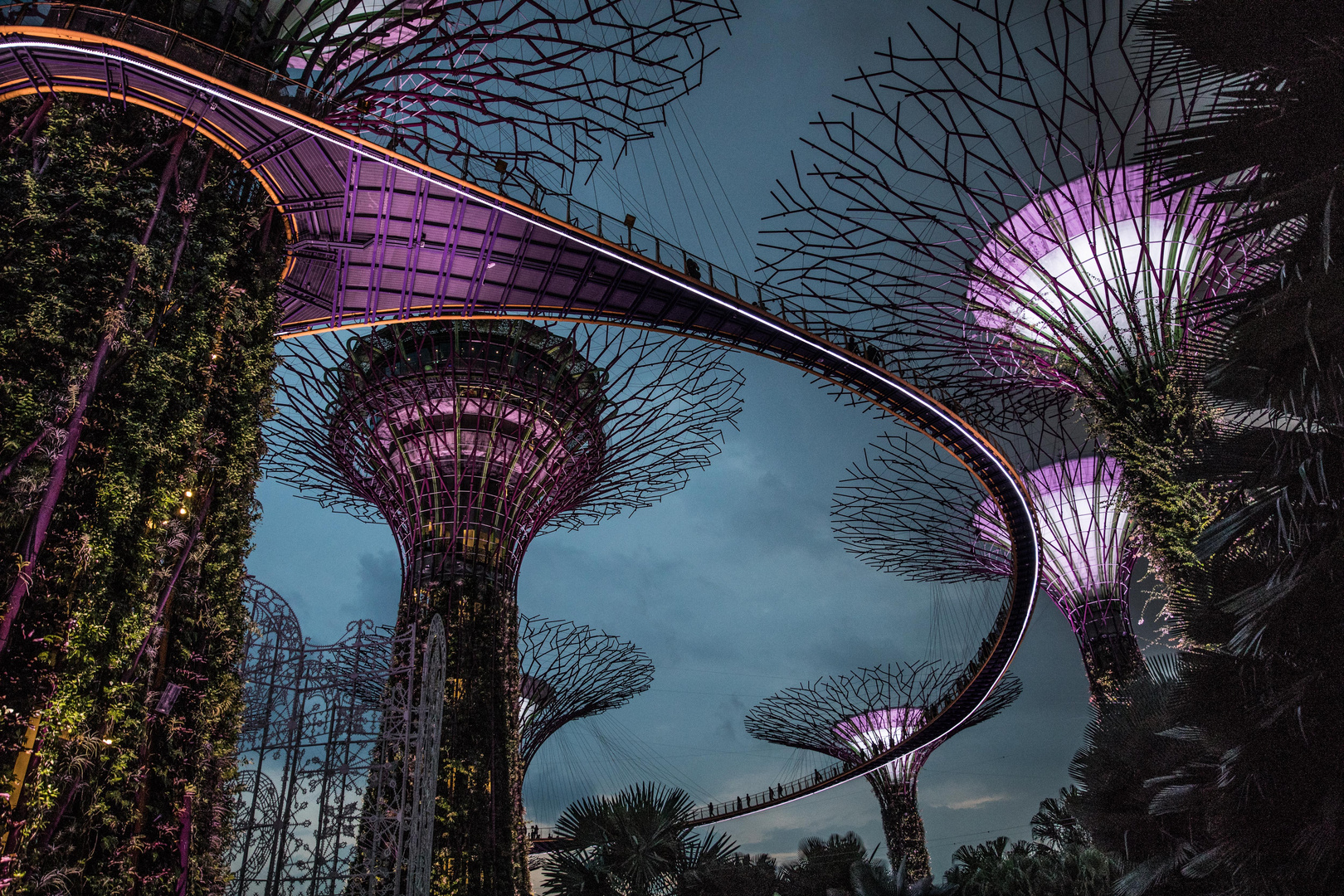 Super Tree Grove Foto & Bild | asia, singapore, southeast asia Bilder ...