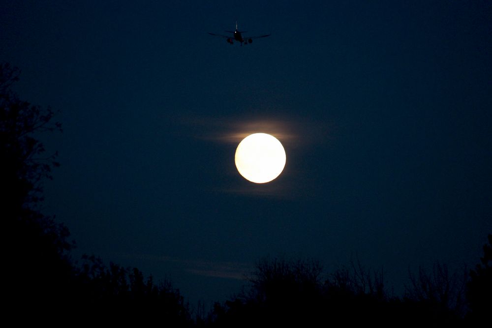 Supermond Foto & Bild | natur, spandau, mond Bilder auf fotocommunity