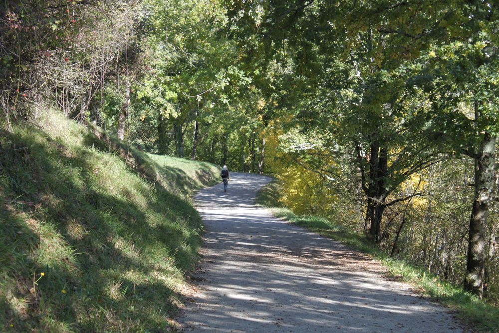 Sur le chemin photo et image | personnes Images fotocommunity