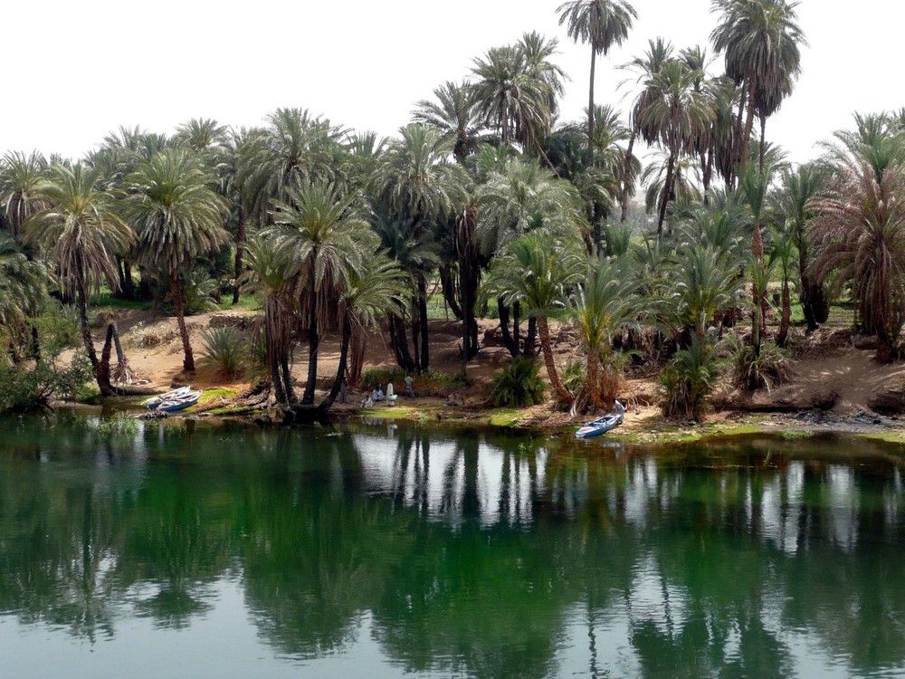 sur le nil photo et image | africa, egypt, north africa Images ...