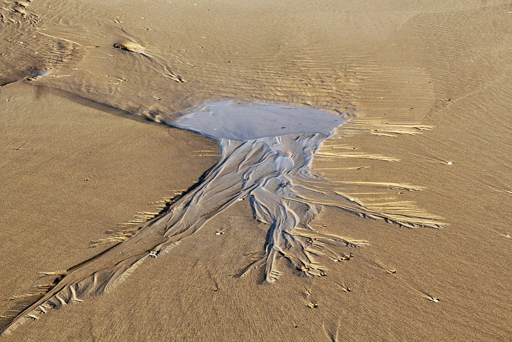 sur le sable ! photo et image | paysages, mers et océans, divers Images ...