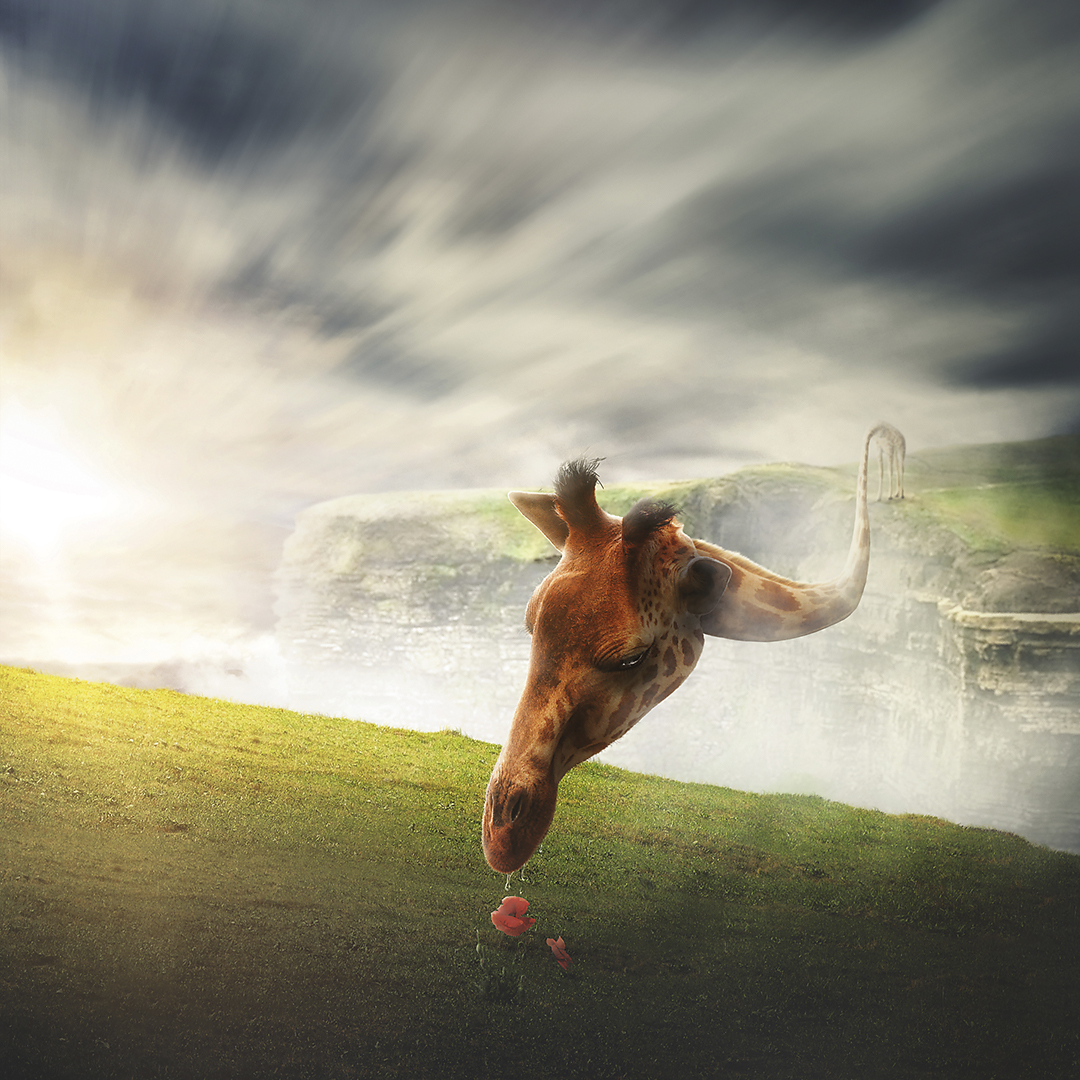 Surreal Foto & Bild | fotomontage, composing , composing Bilder auf fotocommunity