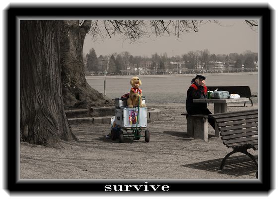 Valeria Cirillo - Fotos & Bilder - Fotografin aus Gottmadingen ...