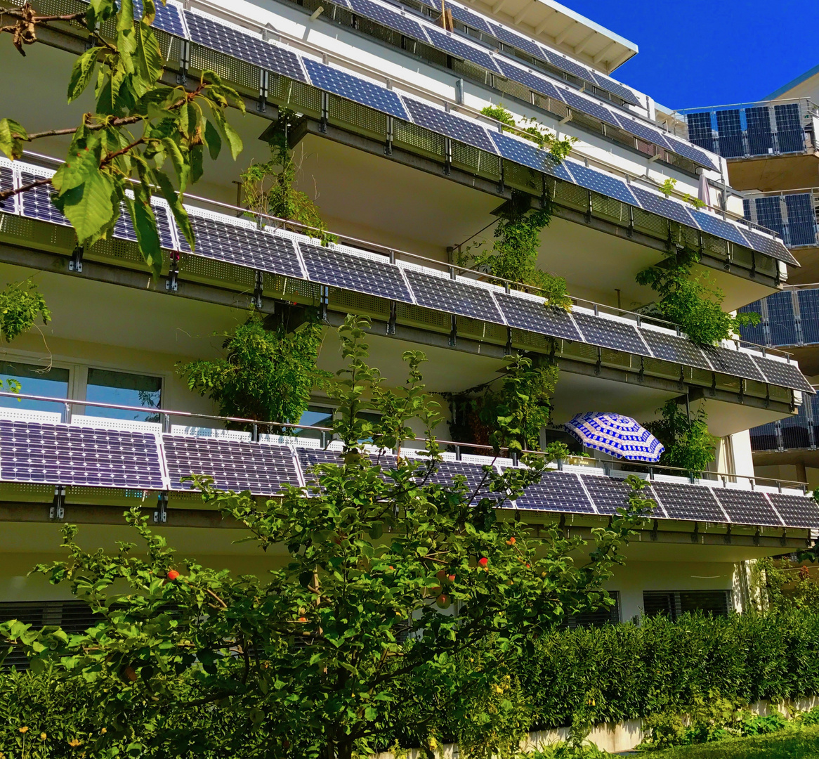 sustainable green building by Frey Architect Foto & Bild | architektur ...