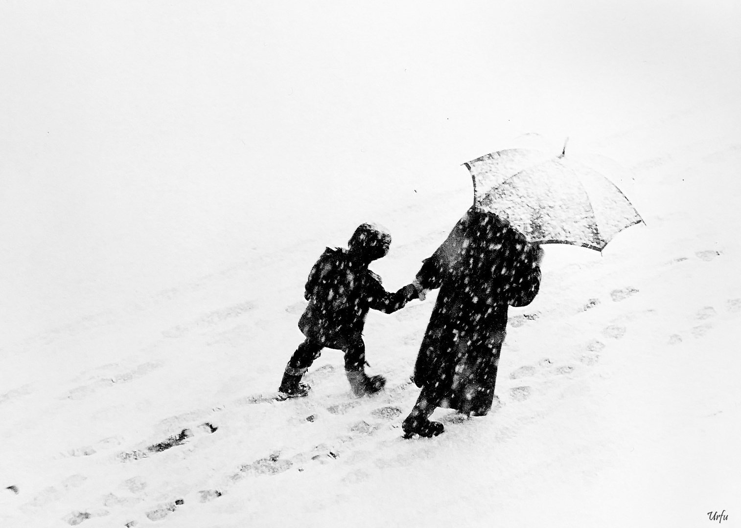 sw Freitag (1713) Foto & Bild | winter, schnee, natur Bilder auf ...