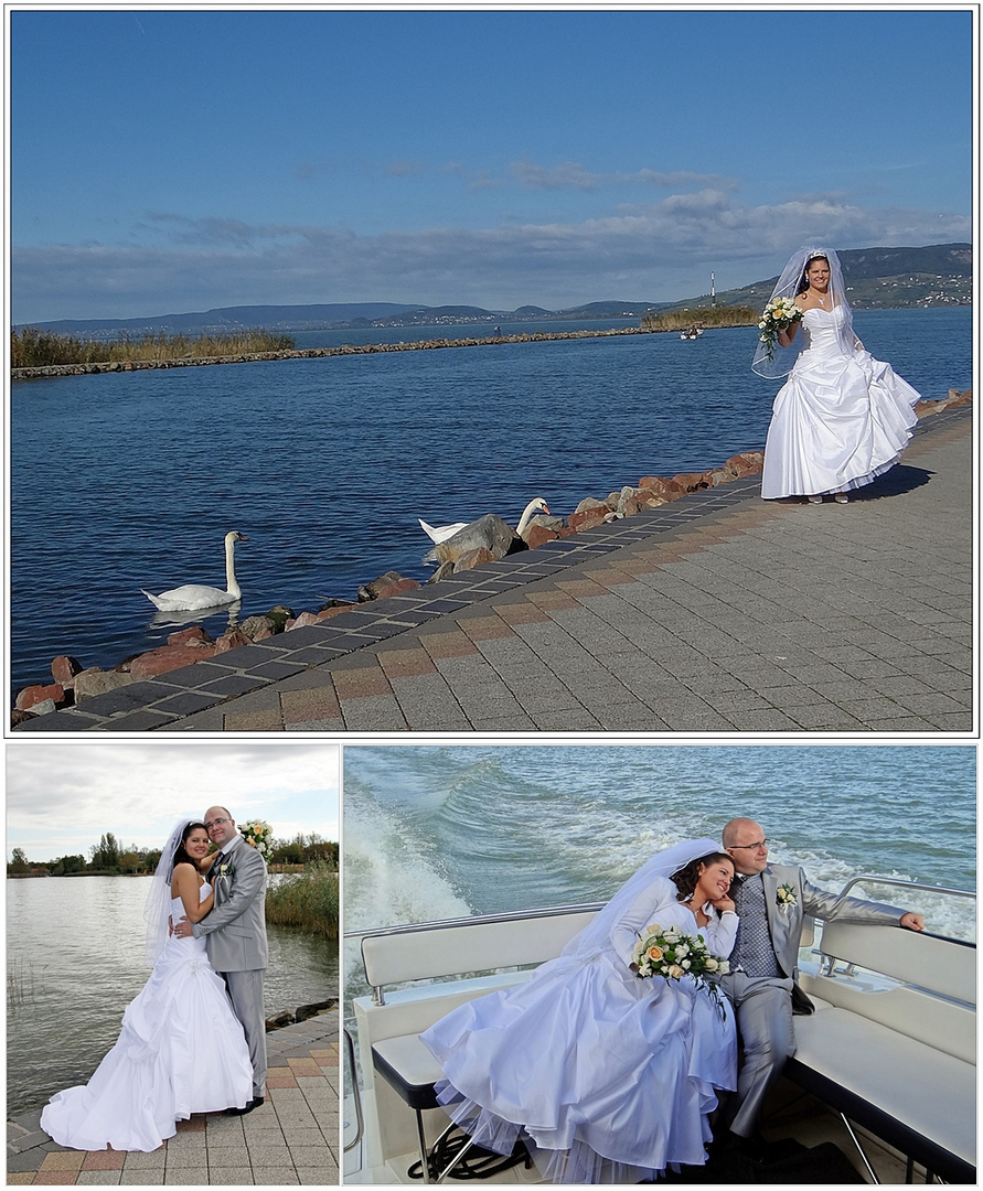 Swan Lake Reloaded Foto & Bild | hochzeit, collagen, menschen Bilder auf fotocommunity